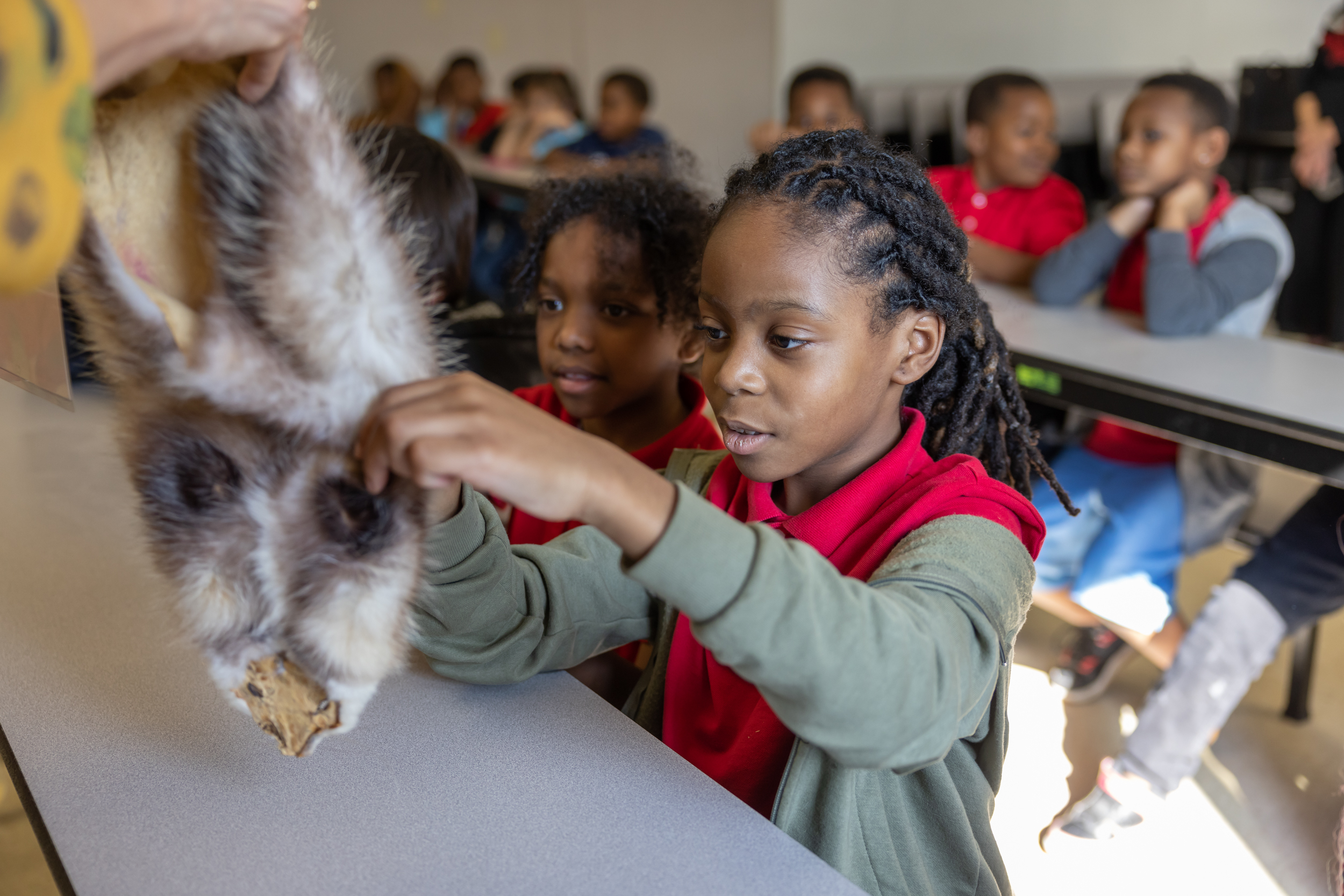 Parental Portal • Essence Preparatory Public School